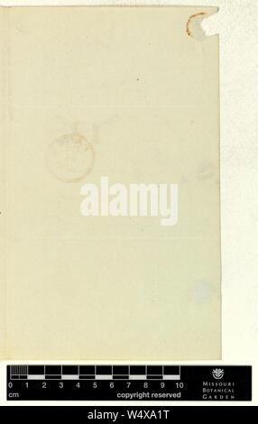 Correspondence Lindley (John) and Engelmann (George) (Jan 26, 1848 (2 ...