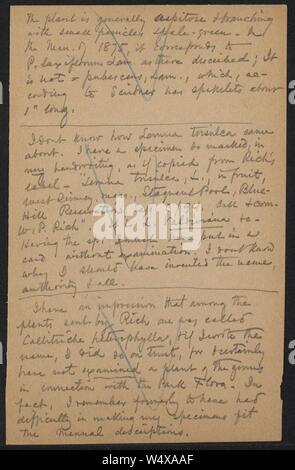 Correspondence relating to the Blue Hills flora project, 1894 1896 ...