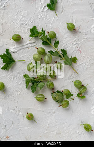 top view of raw gooseberry branch with leaves Stock Photo - Alamy