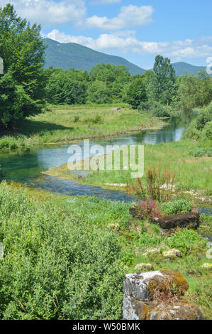 Croatia, beautiful river Gacka flowing between the green meadow fields ...