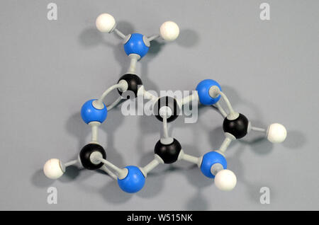 Adenine (A, Adenine) purine nucleobase molecule. Base present in DNA ...
