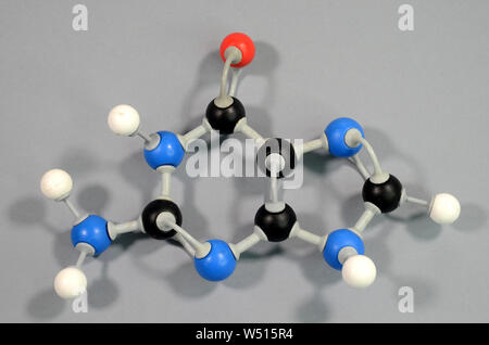 Guanine (G) purine nucleobase molecule. Base present in DNA and RNA ...