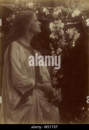 Spring. Julia Margaret Cameron (British, born India, 1815 - 1879 Stock ...