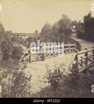 Rustic Bridge near the West Drive.. Thomas C. Roche (American, 1826/ ...