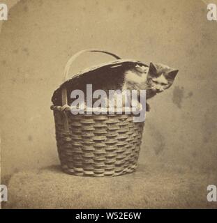 Kitty Playing "Hide and Seek". John P. Soule (American, 1827 - 1904 ...