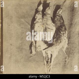 Still life of fowl. Unknown Stock Photo - Alamy