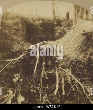 Side of Gipping. Unknown maker, British Stock Photo - Alamy