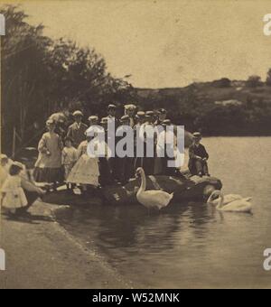 Central Park, Looking at the Swans, New York City Stock Photo - Alamy
