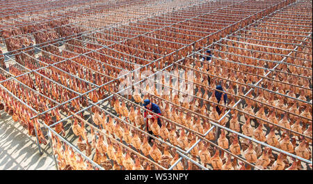 Chinese workers air traditional hams at a factory in Jinhua city, east ...