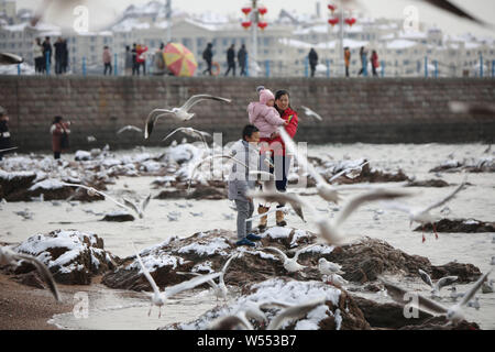 Gulls fly over the Zhanqiao Pier in the snow in Qingdao city, east ...