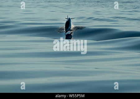 ship prow bow close up detail at sunset harbor operation Stock Photo ...
