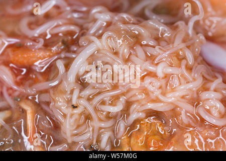 Parasitic nematode worms, or anisakis worms, in the abdominal cavity of ...