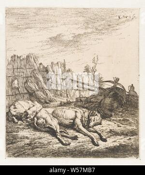 Sleeping hunting dogs; Animals Stock Photo - Alamy