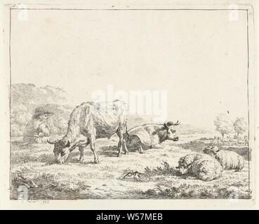 Two cows and a sheep, Frédéric Théodore Faber, 1828 Stock Photo - Alamy