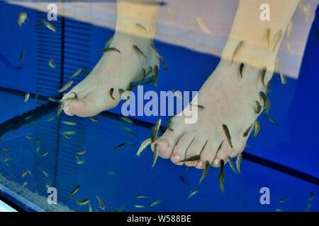 Foot cleaning with fish in SUNNY BEACH - Black Sea - BULGARIA Stock ...