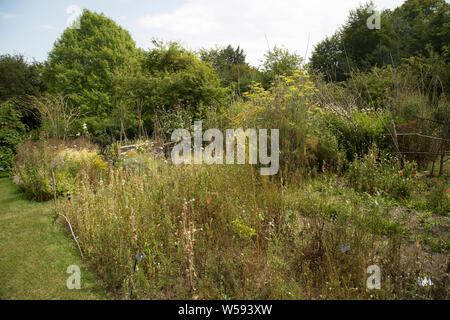Recreation of a mid 17th Century Yeoman farmers garden, Sussex, England ...