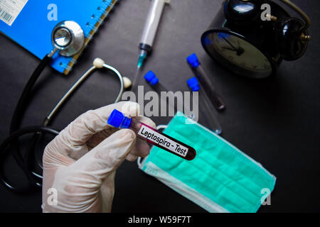 Leptospirosis - Test with blood sample. Top view isolated on black ...