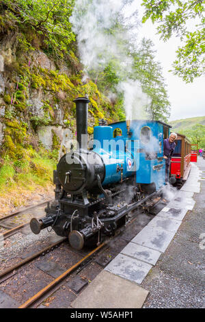 The 1918 0-4-0WT steam loco 'Douglas' pauses at Dolgoch station on the ...