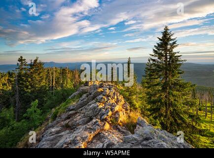 Rachel, Bavarian Forest, Rachel Mountain, Germany, Europe Stock Photo ...
