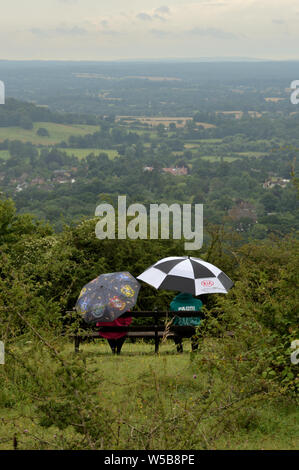 Views of Reigate from reigate hill Stock Photo - Alamy
