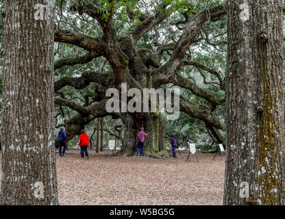 People visit the Angel Oak tree on Angel Oak Park on Johns Island near ...