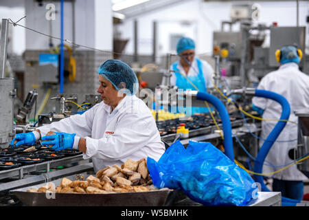 Behind-the-scenes at the Apetito factory in Trowbridge, Wiltshire ...