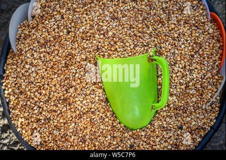 Pill of Kolo or roasted barley in container at outdoor market, Debre ...