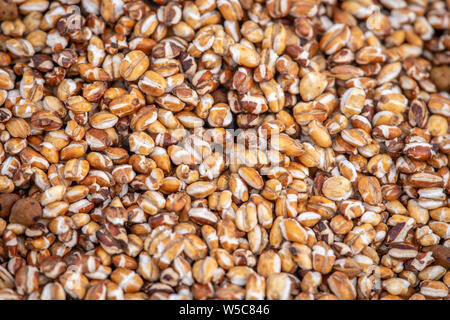 Close up of Kolo or roasted barley, Debre Berhan, Ethiopia Stock Photo ...