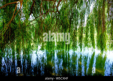 The River Eure, a tributary of the Seine, in Pont-de-l'Arche, Normandy ...