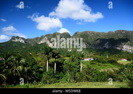 mogotes in the landscape of Vinales, Pinar del Rio province, Cuba Stock ...