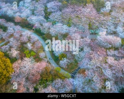 Landscape of the Yuantouzhu, or "Turtle Head Isle", China's top tourist resort for viewing ...