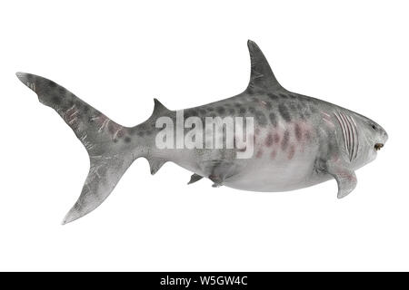 Giant Shark Isolated Stock Photo - Alamy