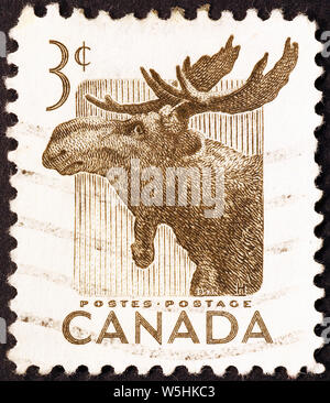 Male moose on american postage stamp Stock Photo - Alamy
