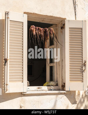 holiday, vacation, holidays, vacations, kitchen, cuisine, vegetable ...