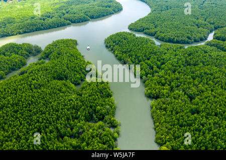 Aerial view of a huge mangrove forest and towering limestone pinnacles ...