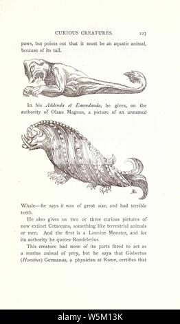 Curious creatures in zoology (Page 264 Stock Photo - Alamy