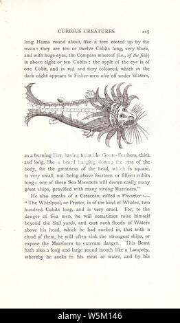 Curious creatures in zoology (Page 82 Stock Photo - Alamy