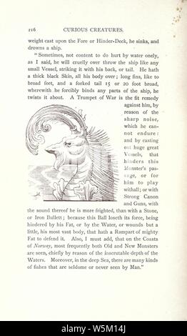 Curious creatures in zoology (Page 252 Stock Photo - Alamy