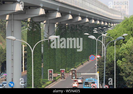 A row of pillars of an elevated subway line is covered with creeper ...