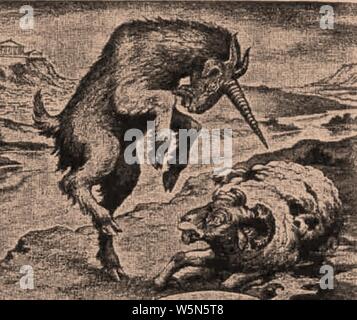 Dan 8 ram and he goat Stock Photo - Alamy