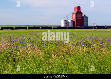 The historic Cadillac grain elevator in Saskatchewan, Canada Stock ...