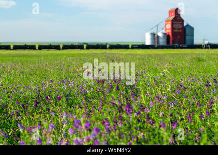 The historic Cadillac grain elevator in Saskatchewan, Canada Stock ...