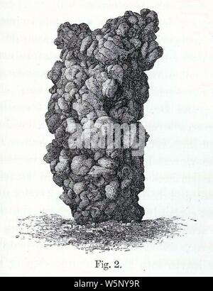 Darwin, Earthworm, Fig. 1 Stock Photo - Alamy