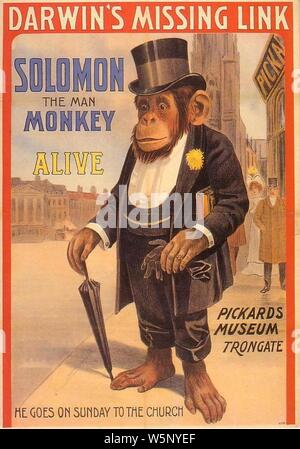 Darwin's Missing Link Stock Photo - Alamy