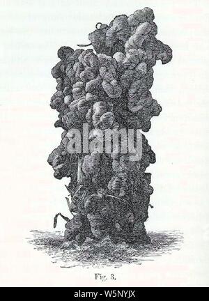 Darwin, Earthworm, Fig. 3 Stock Photo - Alamy