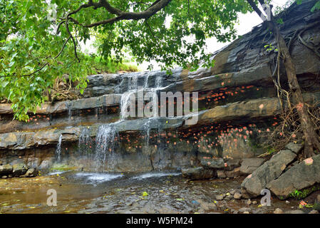Bilpudi Waterfall Dharampur Valsad Gujarat India Asia Stock Photo - Alamy