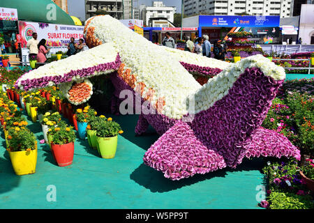 Flower Show, Surat, Gujarat, India, Asia Stock Photo - Alamy