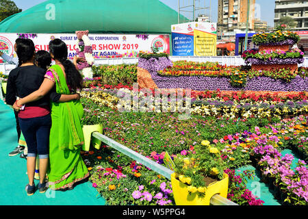 Flower Show, Surat, Gujarat, India, Asia Stock Photo - Alamy