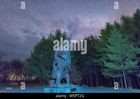 Landscape of the starry sky above the Xingkai Lake on the border ...