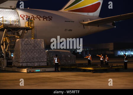 Ethiopian Cargo Boeing 777-200F aircraft flying. Freighter airplane of Ethiopian Cargo inbound ...